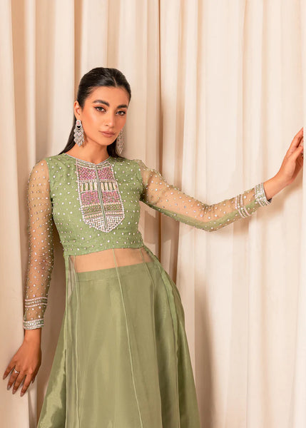 MOSS – VEZ APPARELS